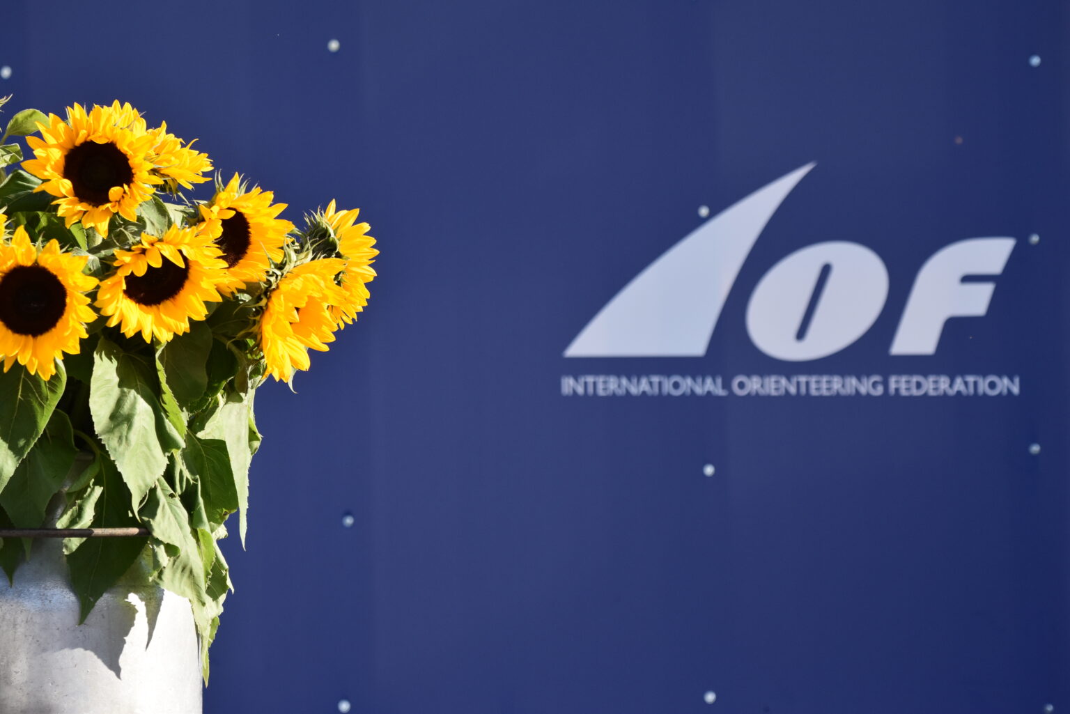 WOC reaches large TV audience this year – Woc2025